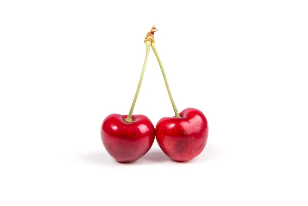 Can Dogs Eat Cherries This Dog Eats